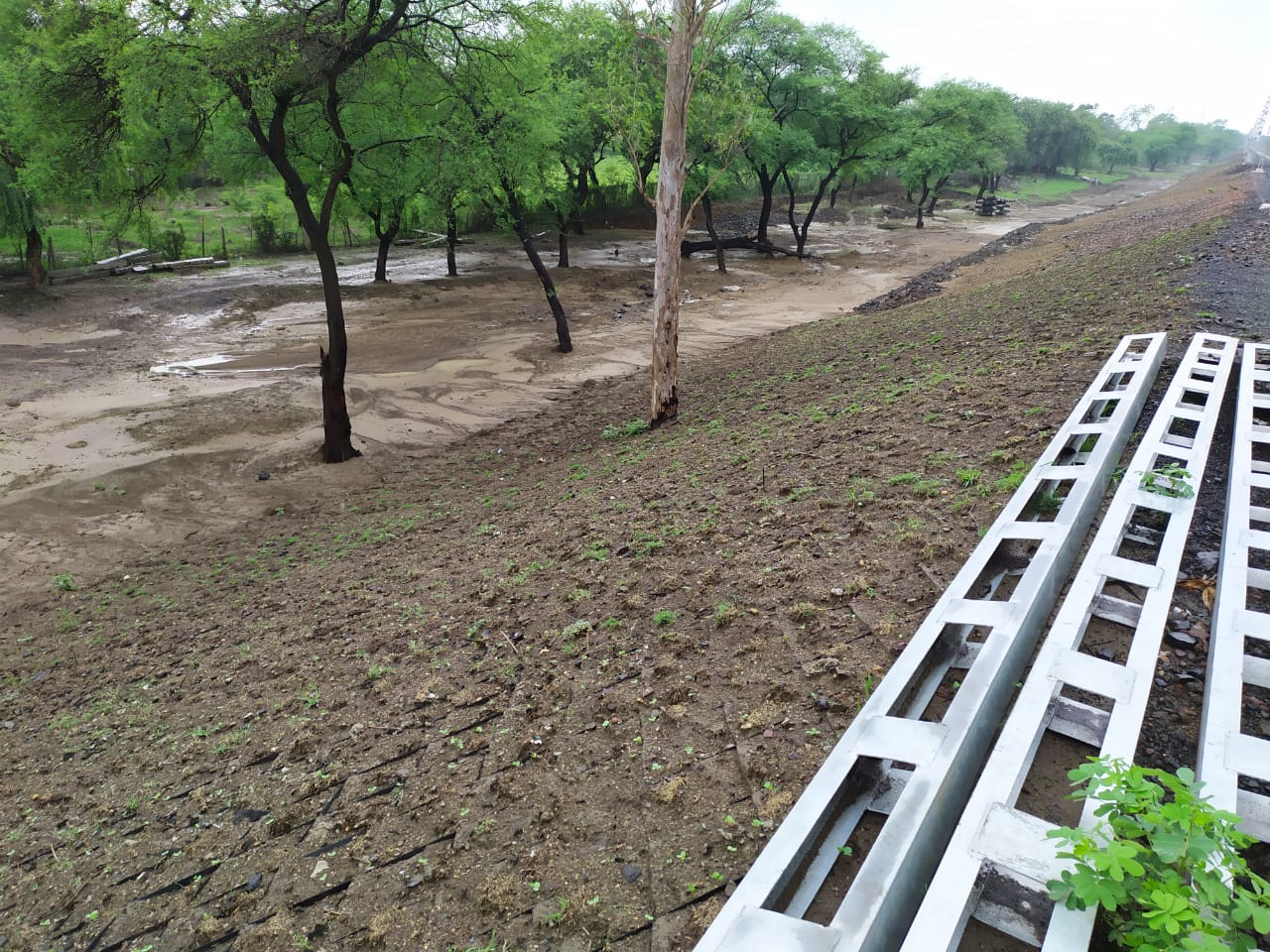 Erosion Protection for Bridge Approach Embankment using StrataWeb® geocells
