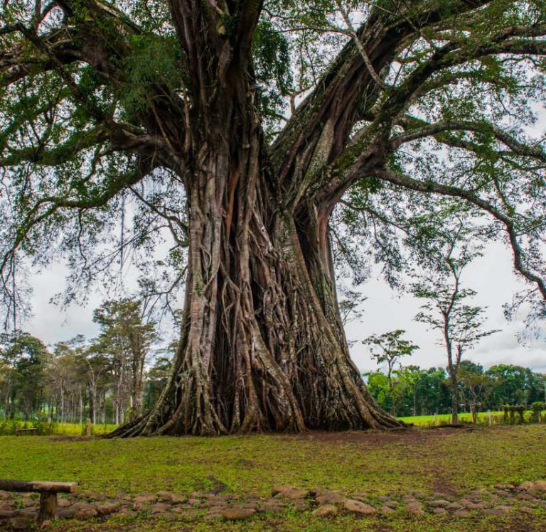 Strata land development - Industrial flooring, green roof and more