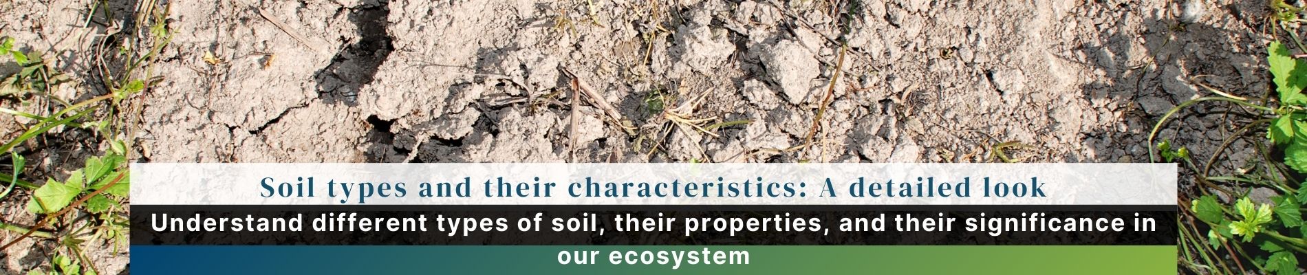 What are the Different Types Of Soil: A Comprehensive Guide
